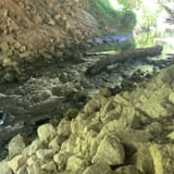 Halfway Creek Trail, Wisconsin - 170 Reviews, Map | AllTrails