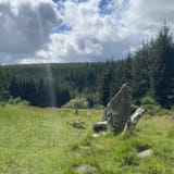 Fernworthy Reservoir Circular, Devon, England - 72 Reviews, Map | AllTrails