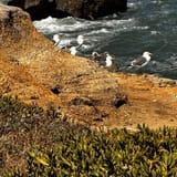 Point Arena-Stornetta Unit of the California Coastal National Monument ...