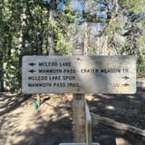 McLeod Lake Trail, California - 1,108 Reviews, Map | AllTrails