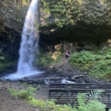 Latourell Falls Loop, Oregon - 7,156 Reviews, Map | AllTrails