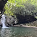 Seneca Creek Trail, West Virginia - 331 Reviews, Map | AllTrails