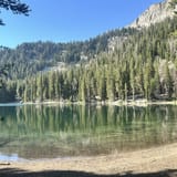 McLeod Lake Trail, California - 1,108 Reviews, Map | AllTrails