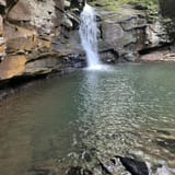 Seneca Creek Trail, West Virginia - 331 Reviews, Map | AllTrails