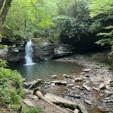 Seneca Creek Trail, West Virginia - 331 Reviews, Map | AllTrails