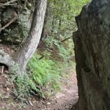 Seneca Creek Trail, West Virginia - 331 Reviews, Map | AllTrails