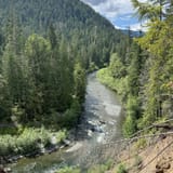 Staircase Rapids Loop, Washington - 2,766 Reviews, Map | AllTrails