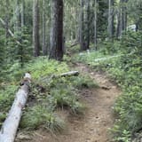 Duffy Lake Trail, Oregon - 467 Reviews, Map | AllTrails