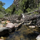 Parsons Trail, Arizona - 745 Reviews, Map | AllTrails