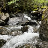 Upper Big Creek Loop, Washington - 2,941 Reviews, Map | AllTrails