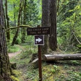 Upper Big Creek Loop, Washington - 2,937 Reviews, Map | AllTrails