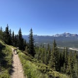Castle Mountain Lookout Trail, Alberta, Canada - 2,151 Reviews, Map ...
