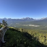 Castle Mountain Lookout Trail, Alberta, Canada - 2,151 Reviews, Map ...