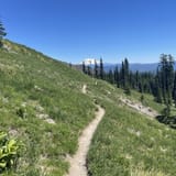 Loowit Loop, Washington - 437 Reviews, Map | AllTrails