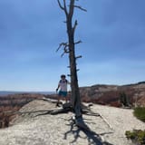 Bryce Point to Sunset Point Trail, Utah - 1,132 Reviews, Map | AllTrails