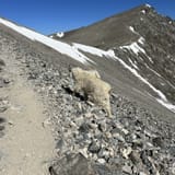 Grays Peak via Grays Peak Trail, Colorado - 2,248 Reviews, Map | AllTrails
