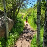 Turtle Rock Loop Trail, Wyoming - 1,365 Reviews, Map | AllTrails