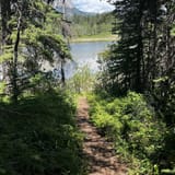 Middle Lake Trail, Alberta, Canada - 226 Reviews, Map | AllTrails