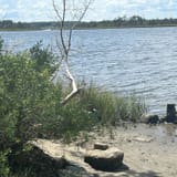 Cedar Point Tideland Trail, North Carolina - 760 Reviews, Map | AllTrails