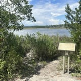 Cedar Point Tideland Trail, North Carolina - 760 Reviews, Map | AllTrails