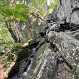 Butterfield Hiking Trail, Arkansas - 991 Reviews, Map | AllTrails