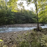 Butterfield Hiking Trail, Arkansas - 991 Reviews, Map | AllTrails