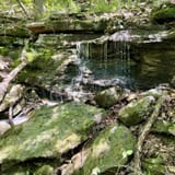 Butterfield Hiking Trail, Arkansas - 991 Reviews, Map | AllTrails