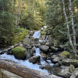 Annette Lake Trail, Washington - 6,382 Reviews, Map | AllTrails