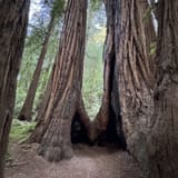 Fern Creek, Lost, and Canopy Trail Loop, California - 2,911 Reviews ...