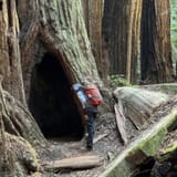 Fern Creek, Lost, and Canopy Trail Loop, California - 2,911 Reviews ...