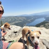 Mount Judah Loop Trail, California - 2,496 Reviews, Map | AllTrails