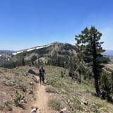 Mount Judah Loop Trail, California - 2,496 Reviews, Map | AllTrails