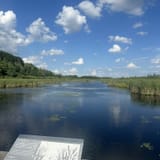 Mer Bleue Bog Trail, Ontario, Canada - 486 Reviews, Map | AllTrails