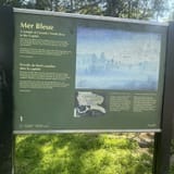 Mer Bleue Bog Trail, Ontario, Canada - 486 Reviews, Map | AllTrails