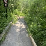 Mer Bleue Bog Trail, Ontario, Canada - 486 Reviews, Map | AllTrails