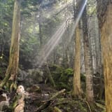 Mount Jackson and Mount Webster Trail Loop, New Hampshire - 2,303 ...