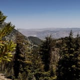 Tamarack Peak Loop, Nevada - 1,065 Reviews, Map | AllTrails
