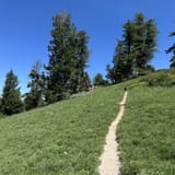 Mores Mountain Loop, Idaho - 533 Reviews, Map | AllTrails