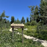 Mores Mountain Loop, Idaho - 533 Reviews, Map | AllTrails