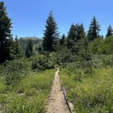 Mores Mountain Loop, Idaho - 533 Reviews, Map | AllTrails