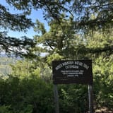Mores Mountain Loop, Idaho - 533 Reviews, Map | AllTrails