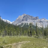 Emerald Lake Loop, British Columbia, Canada - 2,941 Reviews, Map ...