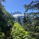 Bald Mountain from Lolo Pass Trail, Oregon - 1,929 Reviews, Map | AllTrails