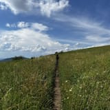 Max Patch Loop, North Carolina - 2,363 Reviews, Map | AllTrails
