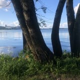 Lake Monona Bike Loop, Wisconsin - 732 Reviews, Map | AllTrails