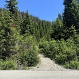 Mount Catherine (#1348), Washington - 894 Reviews, Map | AllTrails
