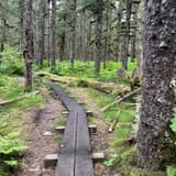 Tonsina Creek Trail, Alaska - 1,628 Reviews, Map | AllTrails
