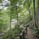 Crabtree Falls Trail, Virginia - 2,299 Reviews, Map | AllTrails