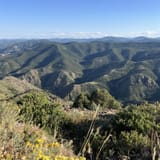 Mount Morrison Trail, Colorado - 6,269 Reviews, Map | AllTrails