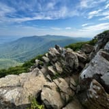 Hawksbill Loop Trail, Virginia - 4,715 Reviews, Map | AllTrails